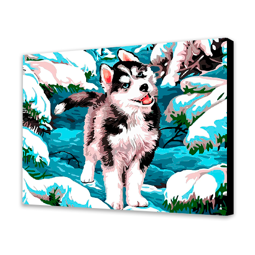 Snow Husky Paint by Numbers Kit | Just Paint by Numbers Store