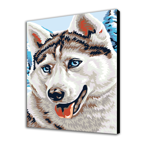 Husky - Paint by Numbers Kit | Just Paint by Numbers Store